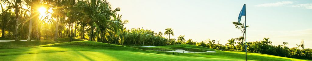 Contact | Contact GatorTurf Today | Gator Turf | Gator Turf